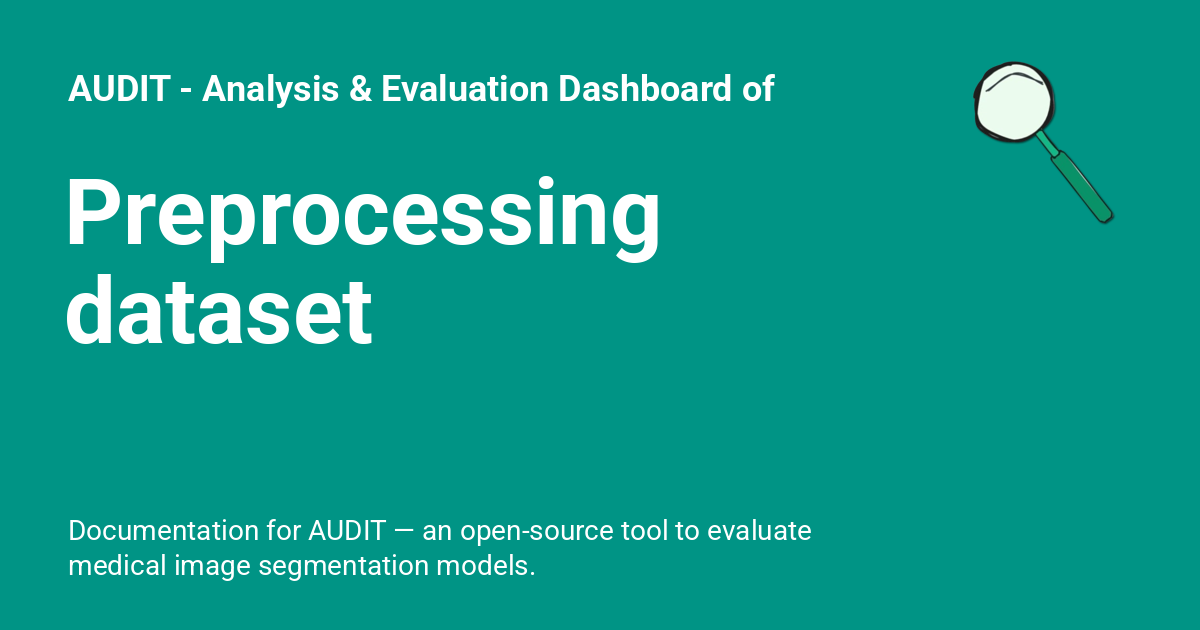 Preprocessing Dataset Audit Analysis And Evaluation Dashboard Of Artificial Intelligence